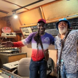 WHAT ARE THE 10 TYPES OF REGGAE MUSIC? – Kattegat Productions